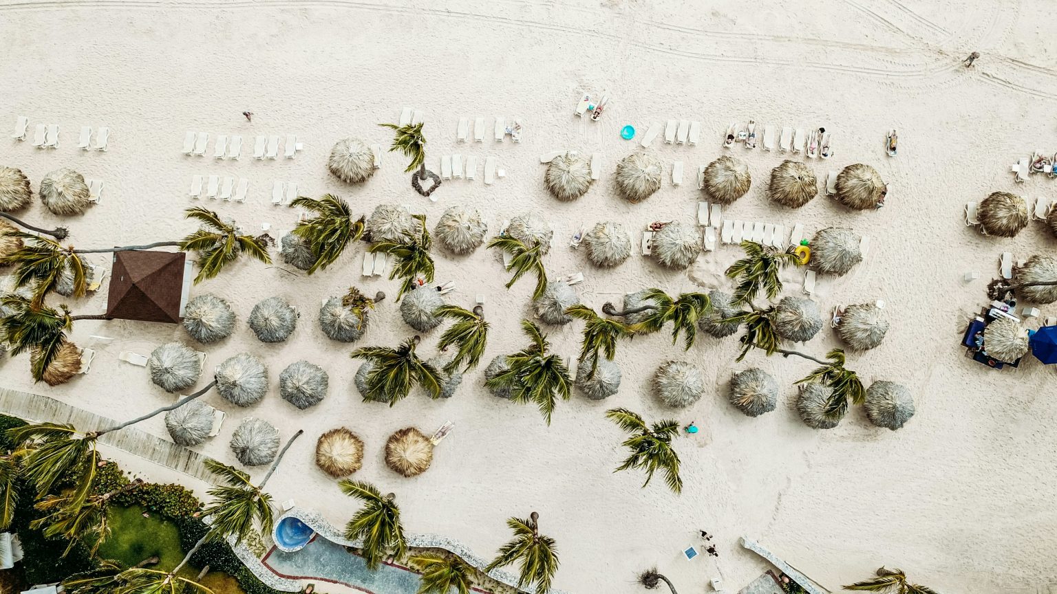 Spring Break Travel Guide | Go Blue Tours