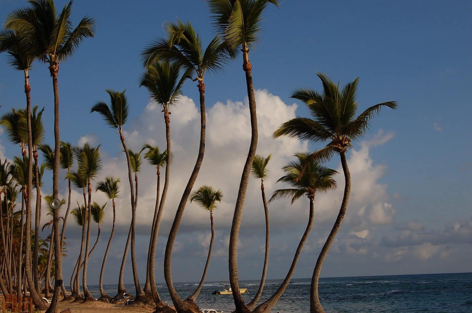 Spring Break 2026 Packages | Go Blue Tours